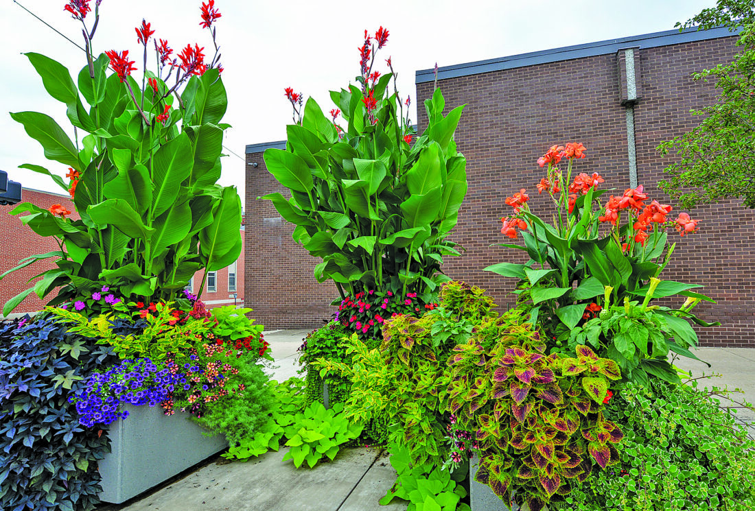 Jim Tunall Awards | News, Sports, Jobs - The Sentinel